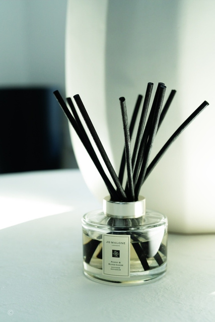 Fashion Look Featuring F. Scott Fitzgerald Indoor Pillows by shintab ...